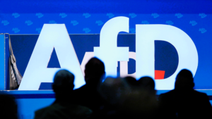 Schockierende Flucht: AfD-Politikerin lässt Deutschland mit ihren ...