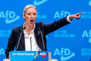 Alice Weidel will alle Windräder abreißen! Stromknappheit durch AfD ...